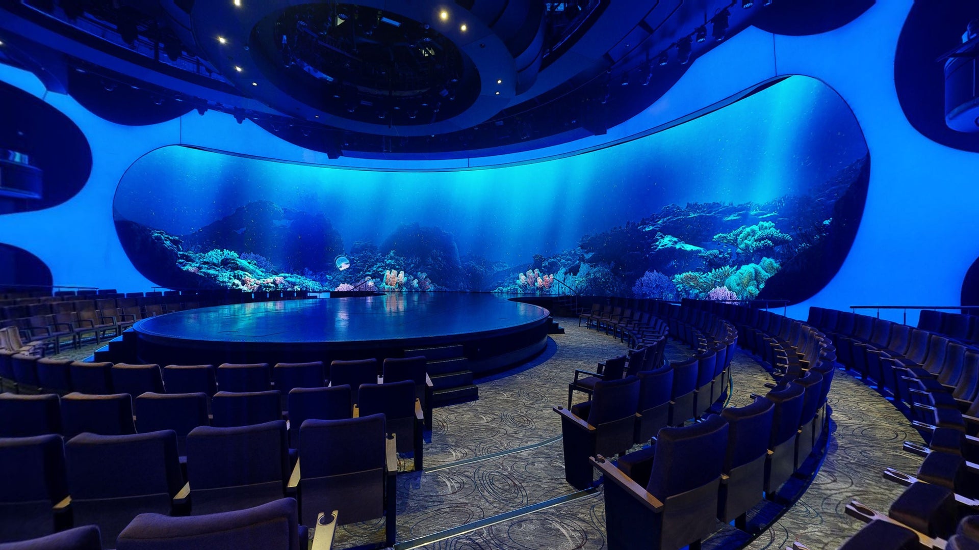 The Celebrity Theater 60 Photos - Moonagedaydream.film